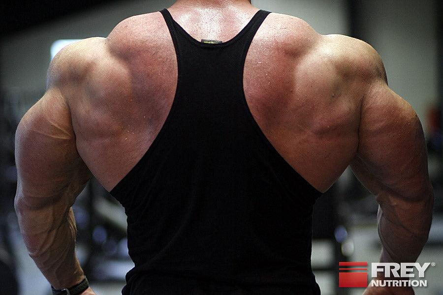 Column 28 | Be careful with your back – Freynutrition